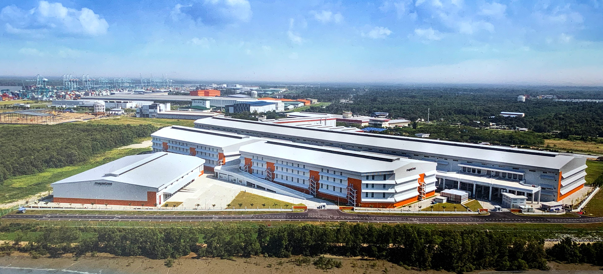 Projects - AMEBA ART